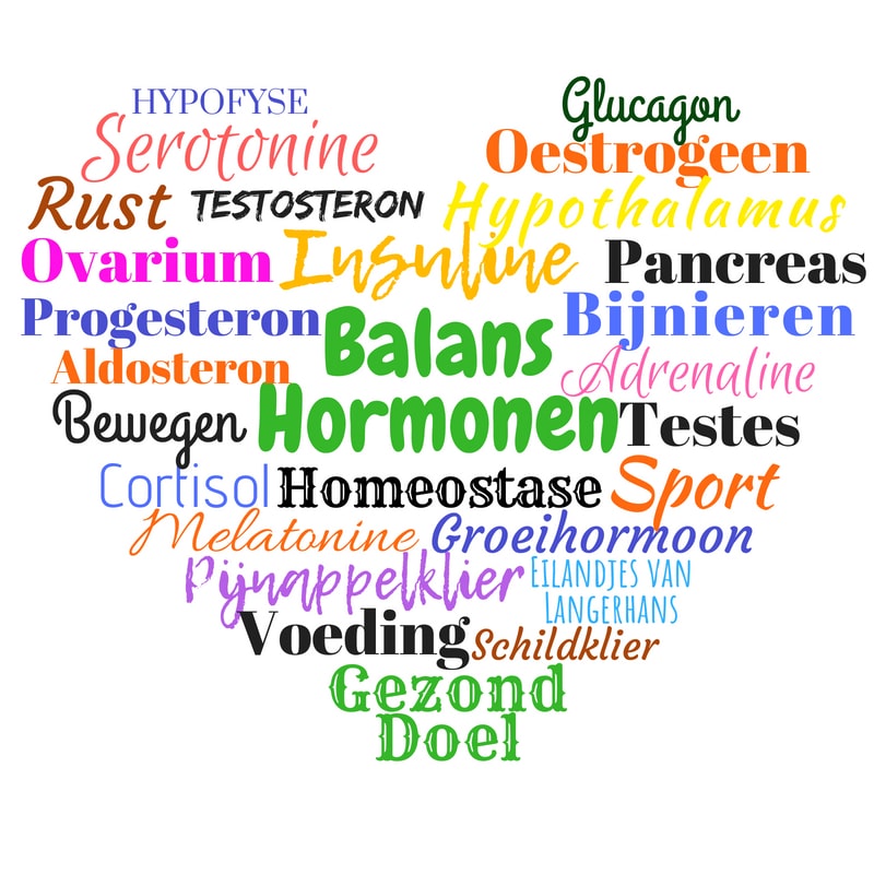 Hoe krijg ik mijn hormonen in balans, wie kan mijn helpen